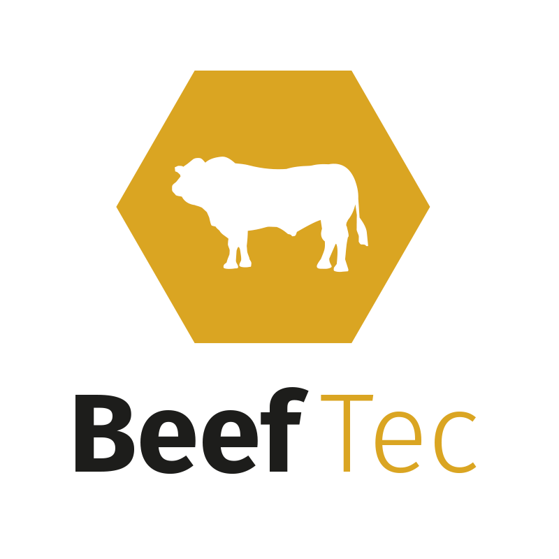 Beef Cattle Feeds - New Breed UK - Independent ruminant nutritionists